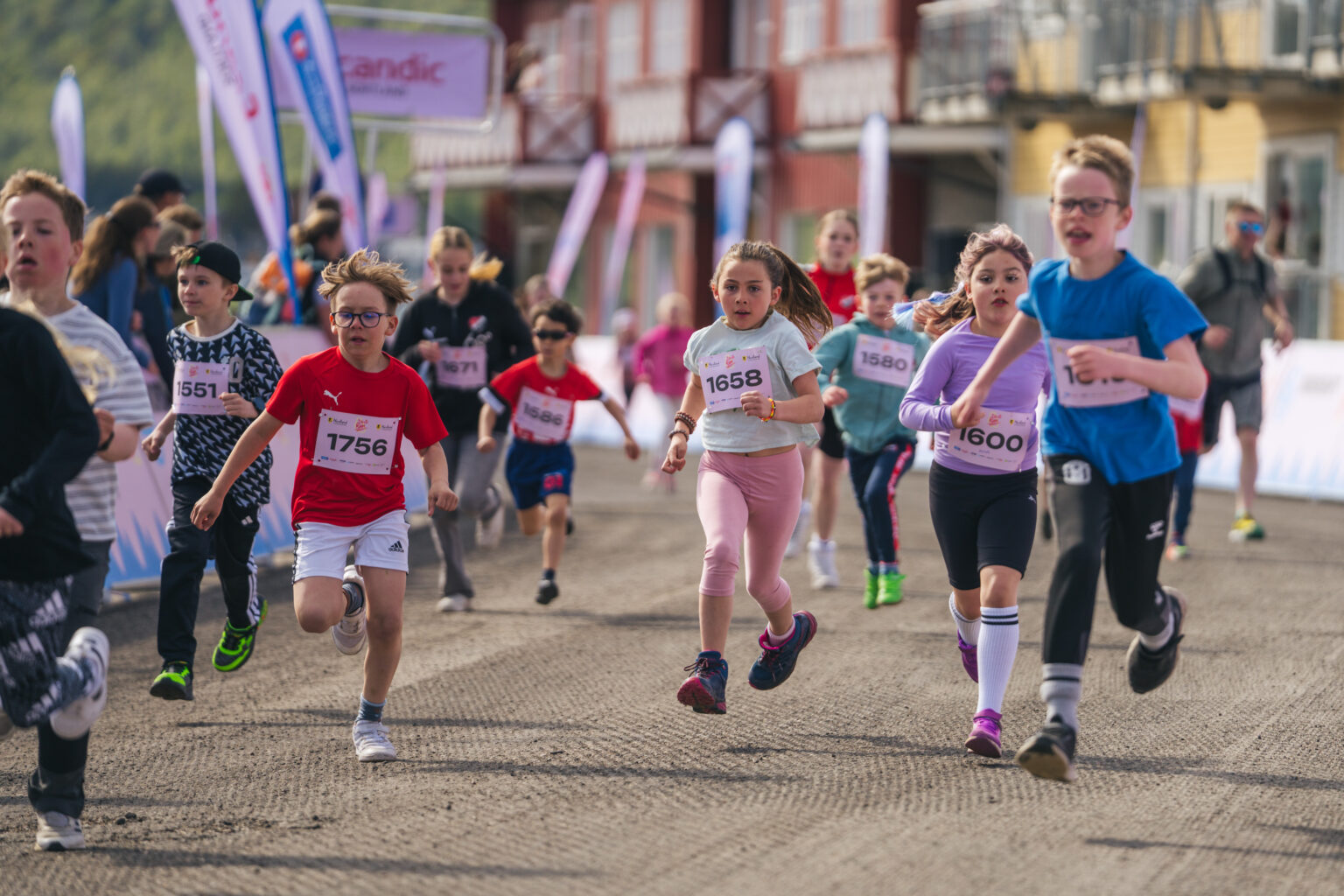 The Arctic Run - Arctic Sport